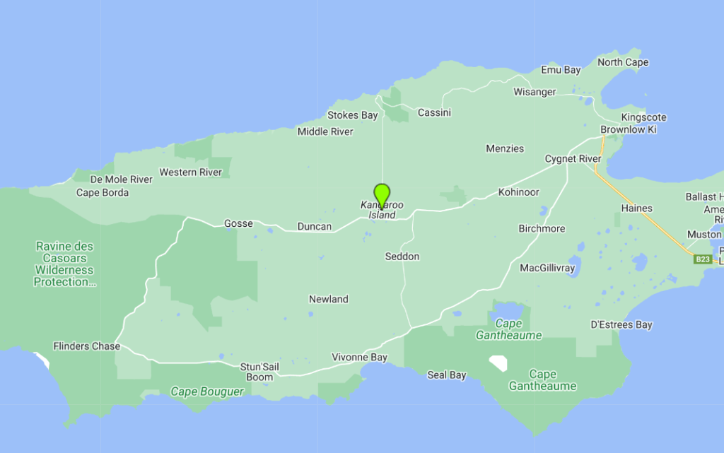 ExploeKangaroo Island- Attractions, Tips & More | ToNiagara